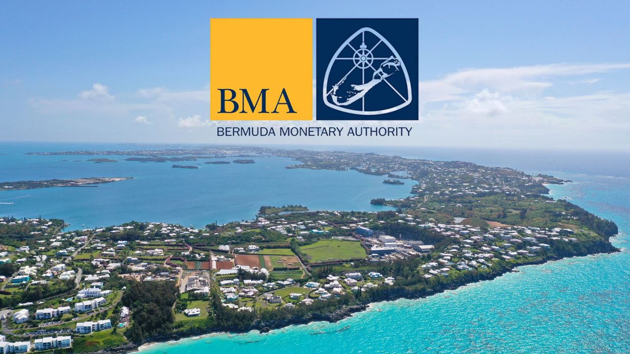 Analysis: BMA calms fears over group supervision | Intelligent Insurer